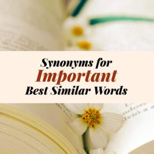 17 Other Ways to Say IMPLEMENT | Implement Synonyms With Examples