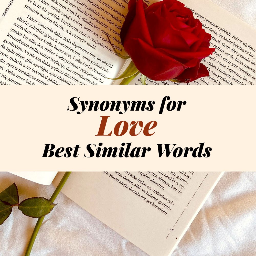 PUNCTUALITY Synonyms: 18 Similar Words (With Examples)